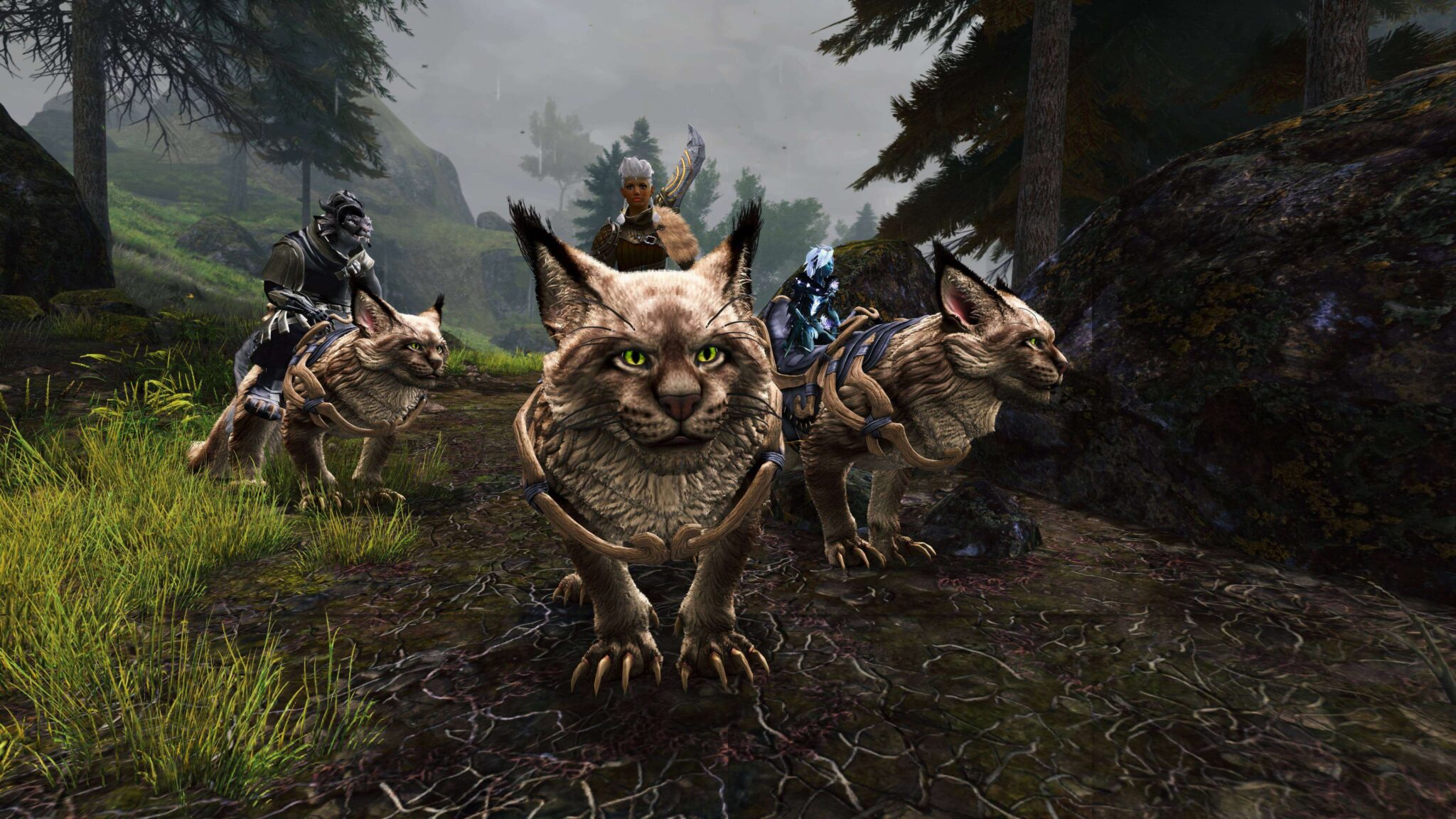 Janthir Wilds – Der große Guide - GuildNews